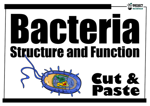 Bacteria Cut and Paste Activity | Teaching Resources