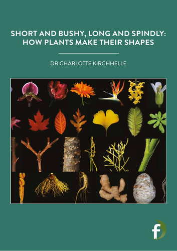 Cell biology - how plants make their shapes | Teaching Resources