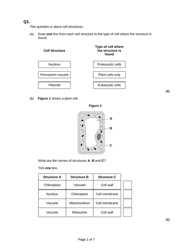 OCR Biology B1.1: Cell Structure Unit | Teaching Resources