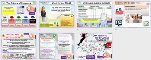 Teenage Pregnancy + Choices PSHE | Teaching Resources