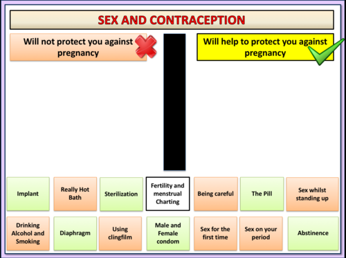 Teenage Pregnancy + Choices PSHE | Teaching Resources