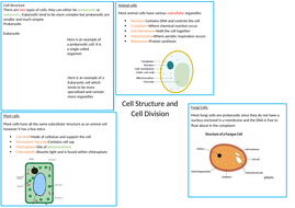 AQA GCSE Biology 9-1: Cell structure and Cell Division A4 Revision ...