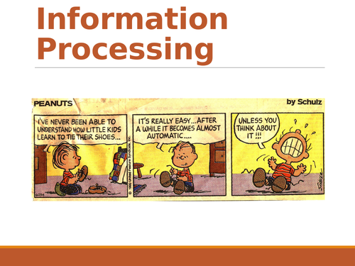 PE GCSE Sports Psychology (Information Processing) | Teaching Resources
