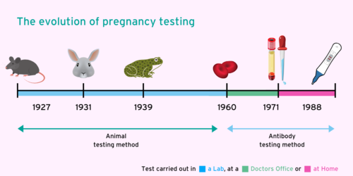 History of pregnancy testing | Teaching Resources