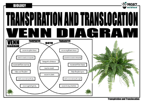 Transpiration and Translocation Venn Diagram | Teaching Resources