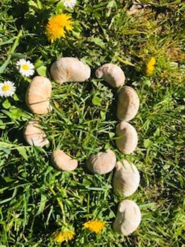 natural number 1-10 | Teaching Resources