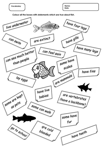 Fish- Listening comprehension and vocabulary | Teaching Resources