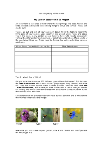 home learning; Garden Ecosystem BEE Project | Teaching Resources