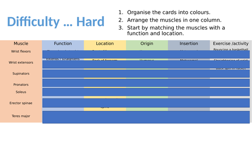 Muscular system scheme of work - BTEC Sport L3 - Unit 1 Anatomy ...