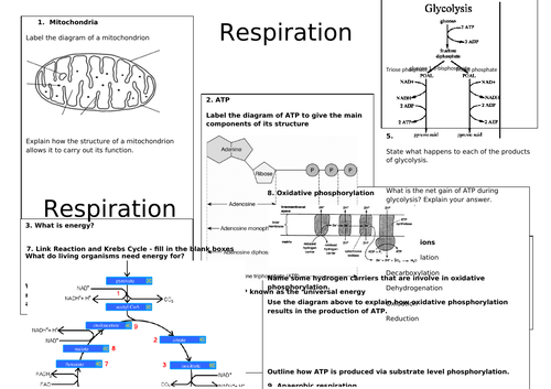 Respiration for A Level (Edexcel B but used for OCR and AQA previously ...