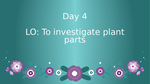 Year 3 Home Learning- Science Plants and English Cross Curricular ...