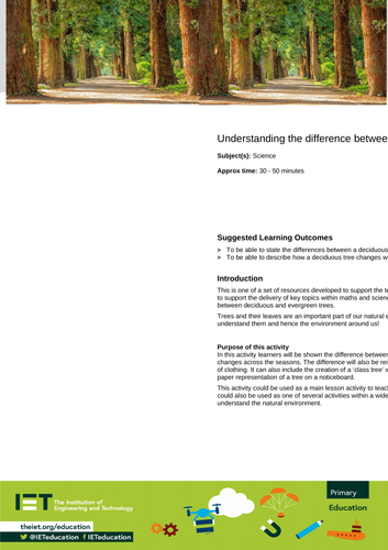 The difference between deciduous and evergreen trees | Teaching Resources