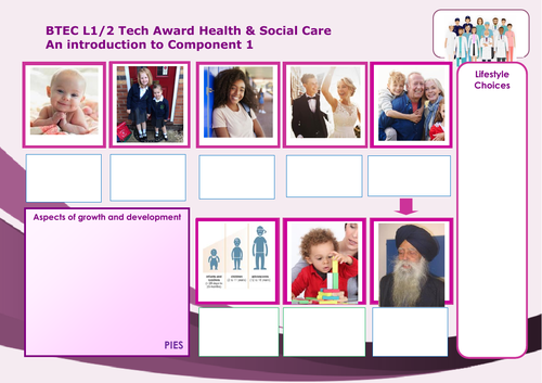 Health & Social Care Growth and Development poster and worksheet ...