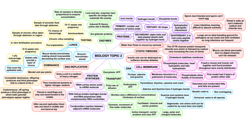 A-Level Biology topic mind map | Teaching Resources