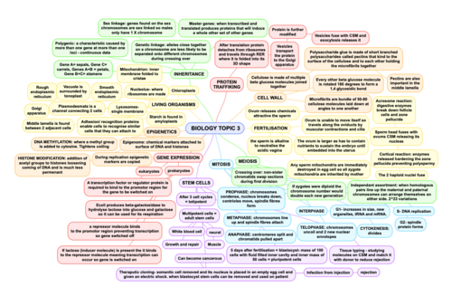 A-Level Biology topic mind map | Teaching Resources
