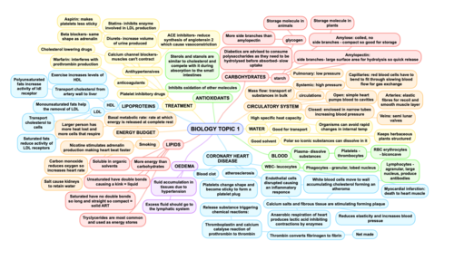 A-Level Biology topic mind map | Teaching Resources