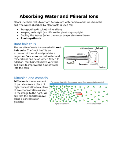 Reading exercise - Absorbing Water and Minerals | Teaching Resources
