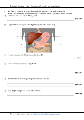 KS3_Secondary 1 checkpoint_worksheet and revision (with answer script ...