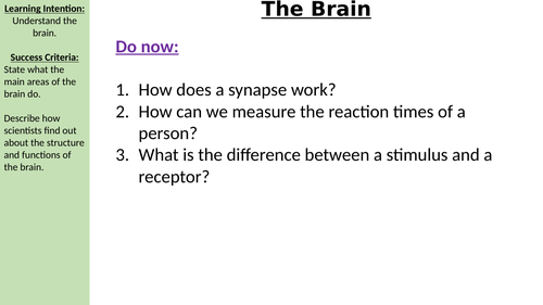 The Brain AQA B10.4 | Teaching Resources
