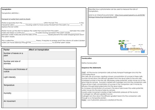 OCR A Level Biology B Revision Mats: Module 2 Cells, chemicals for life ...