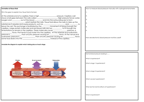 OCR A Level Biology B Revision Mats: Module 2 Cells, chemicals for life ...