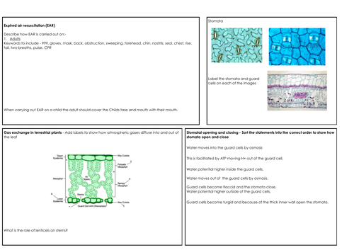 OCR A Level Biology B Revision Mats: Module 2 Cells, chemicals for life ...