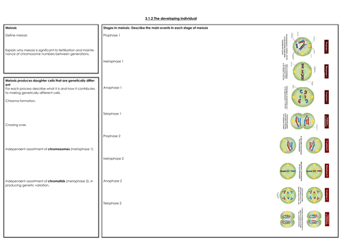 OCR A Level Biology B. Revision Mats for Module 3 Cell division ...