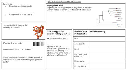 OCR A Level Biology B. Revision Mats for Module 3 Cell division ...