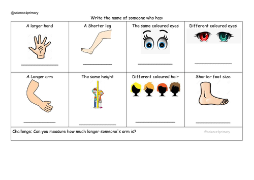 Yr 1 Comparing Body Parts | Teaching Resources