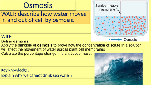 Osmosis | Teaching Resources