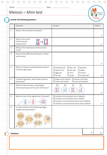 Meiosis - Mini-test (KS4/5) | Teaching Resources