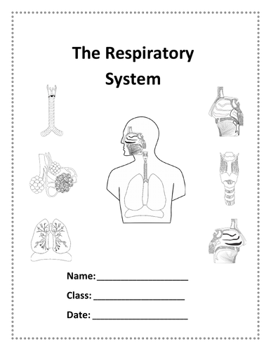 The Respiratory System A Research Project | Teaching Resources