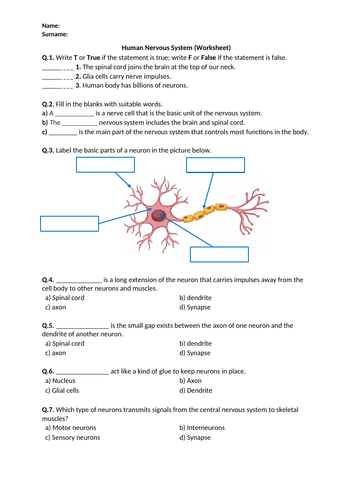 Human Body Systems Worksheets | Distance Learning | Teaching Resources