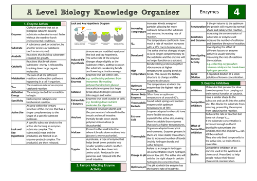 OCR Biology A Knowledge Organiser- Chapter 4 | Teaching Resources
