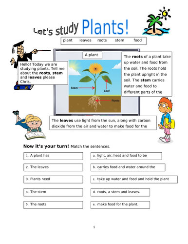 Living Things Worksheet Bundle! | Teaching Resources