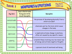 Hormones + Emotions PSHE | Teaching Resources