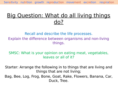 Year 7 Life Processes lesson (7Aa) | Teaching Resources