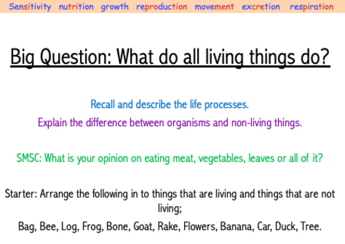 Year 7 Life Processes lesson (7Aa) | Teaching Resources