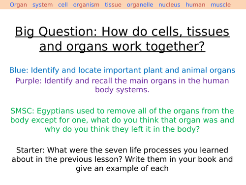 Year 7 Organs lesson (7Ab) | Teaching Resources