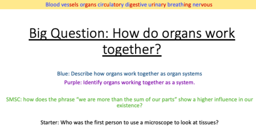 Year 7 Organ Systems lesson (7Ae) | Teaching Resources