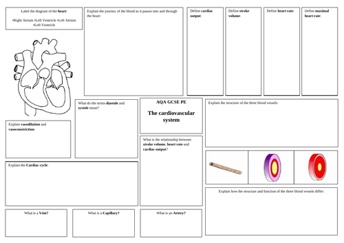 The Cardiovascular system- GCSE Revision | Teaching Resources