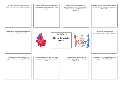 The Cardiovascular system- GCSE Revision | Teaching Resources