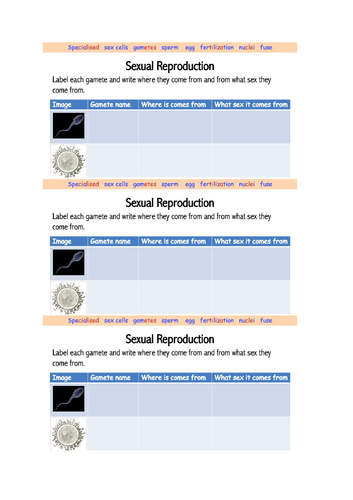 Year 7 Animal Sexual Reproduction Lesson (7Ba) | Teaching Resources