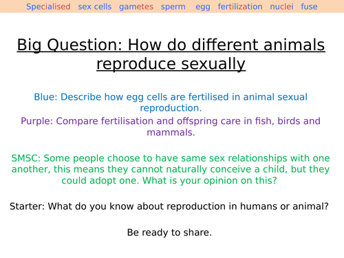 Year 7 Animal Sexual Reproduction Lesson (7Ba) | Teaching Resources