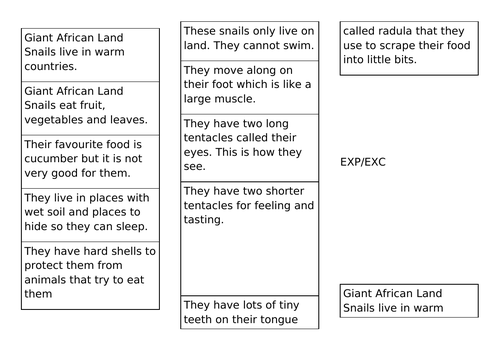 Giant African Land Snail Non-Fiction Planning | Teaching Resources