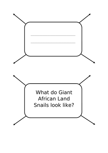 Giant African Land Snail Non-Fiction Planning | Teaching Resources