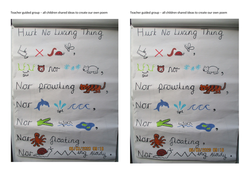 Hurt No Living Thing Unit of Work | Teaching Resources