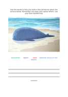 The Storm Whale Bundle | Teaching Resources