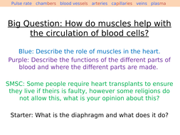 Year 7 Muscles and Blood Lesson (7Cb) | Teaching Resources