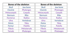 Year 7 Muscles and Moving Lessons (7Cd) | Teaching Resources
